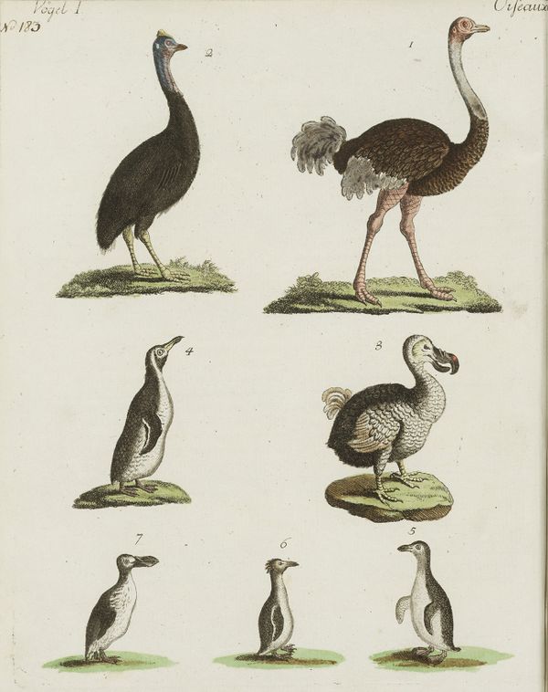 Übersicht Gesamtwerk – Interlinking_Pictura